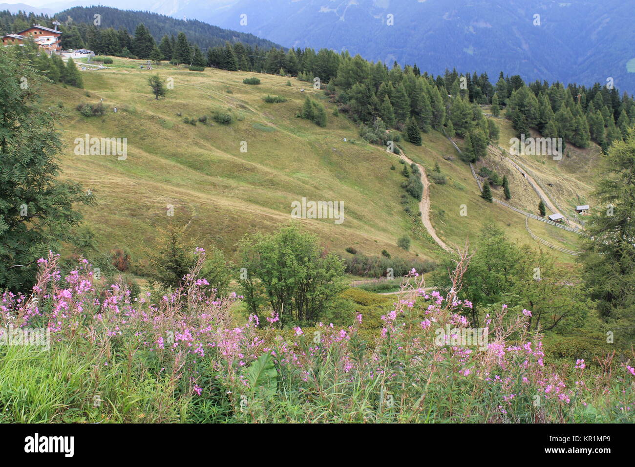 view of alpine mountains in northern Italy Stock Photo - Alamy