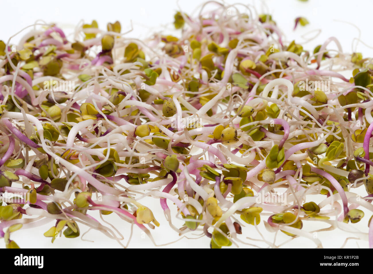 The healthy diet. Fresh sprouts isolated on white background Stock ...