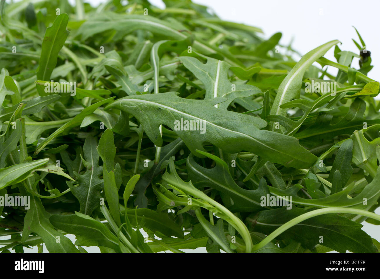 Heap of ruccola leaves Stock Photo - Alamy