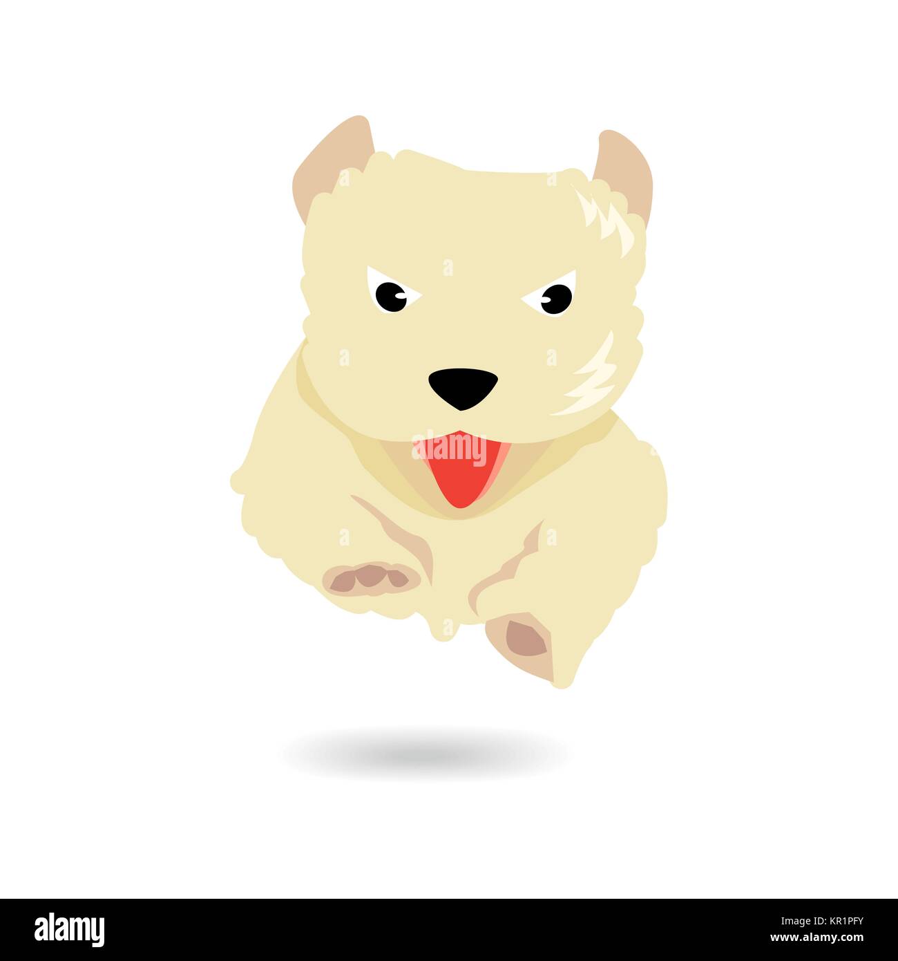 Cute yellow dog jumping and flying over floor with shadow usolated on ...