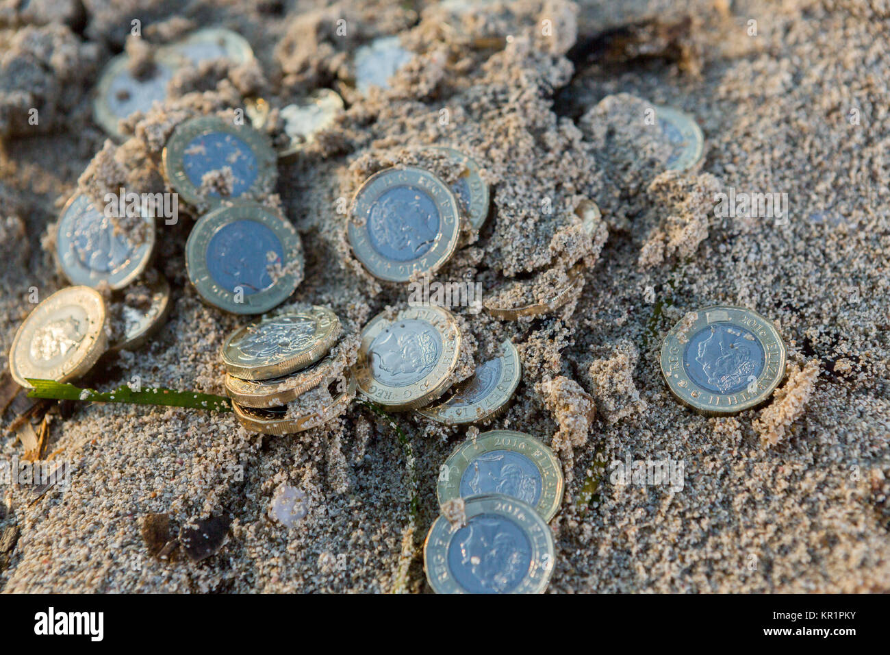 Pile of new Pound coins on the Beach Sand. New Pounds in a Warm Sunrise ...