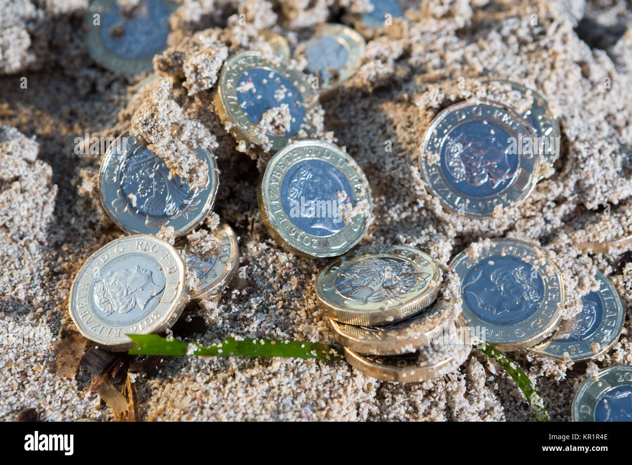 Pile of new Pound coins on the Beach Sand. New Pounds in a Warm Sunrise ...