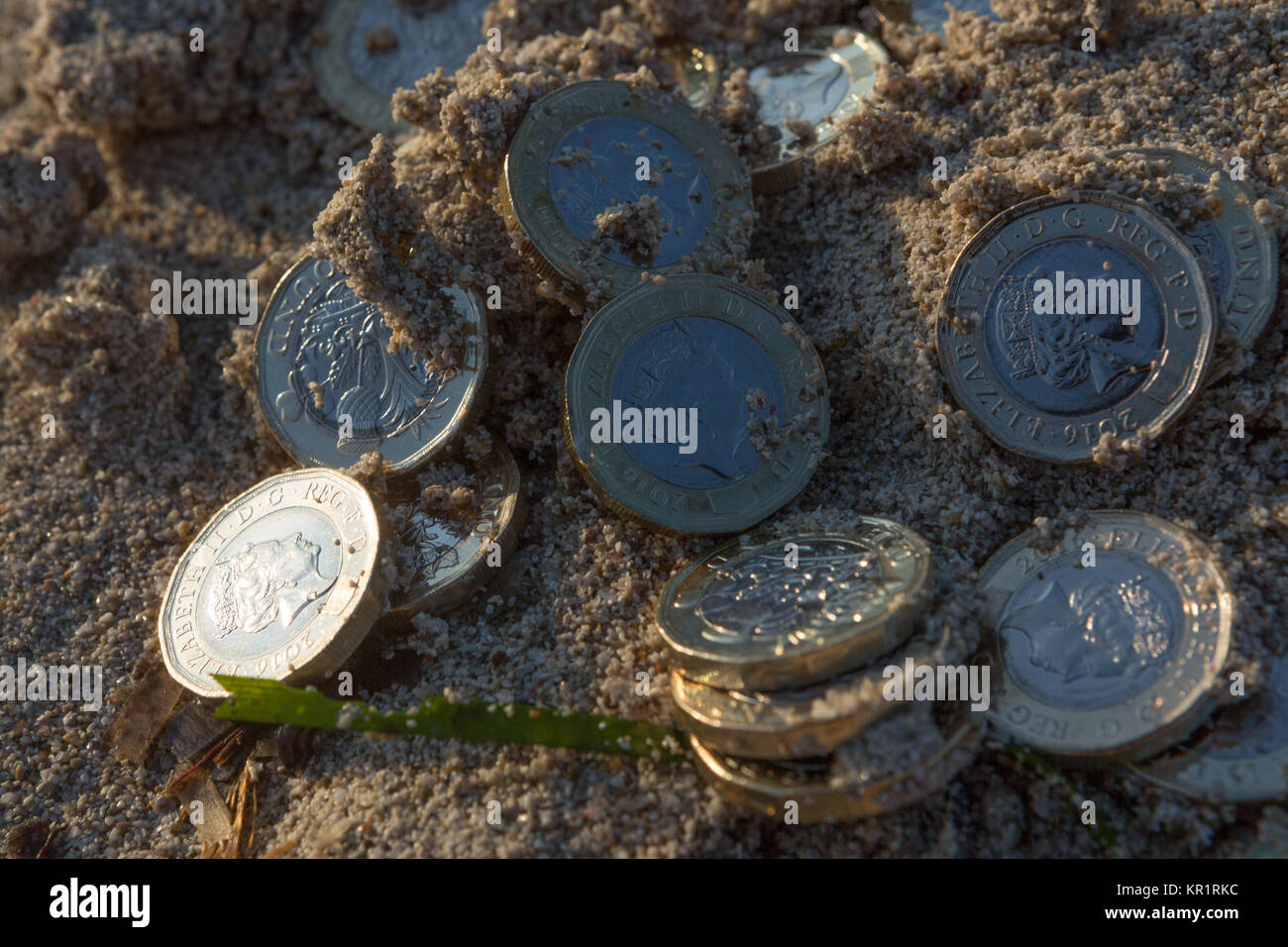 Pile of new Pound coins on the Beach Sand. New Pounds in a Warm Sunrise ...
