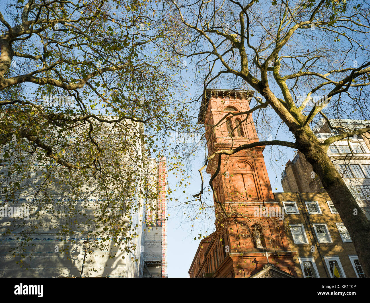 Trees and St Patrick's church Soho Square, London Stock Photo - Alamy
