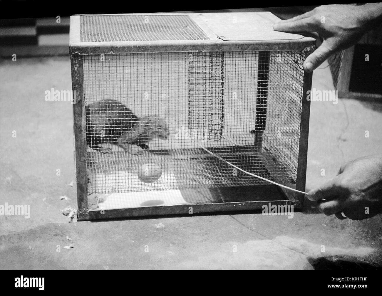 1959 2000 Black and White Stock Photos & Images - Alamy