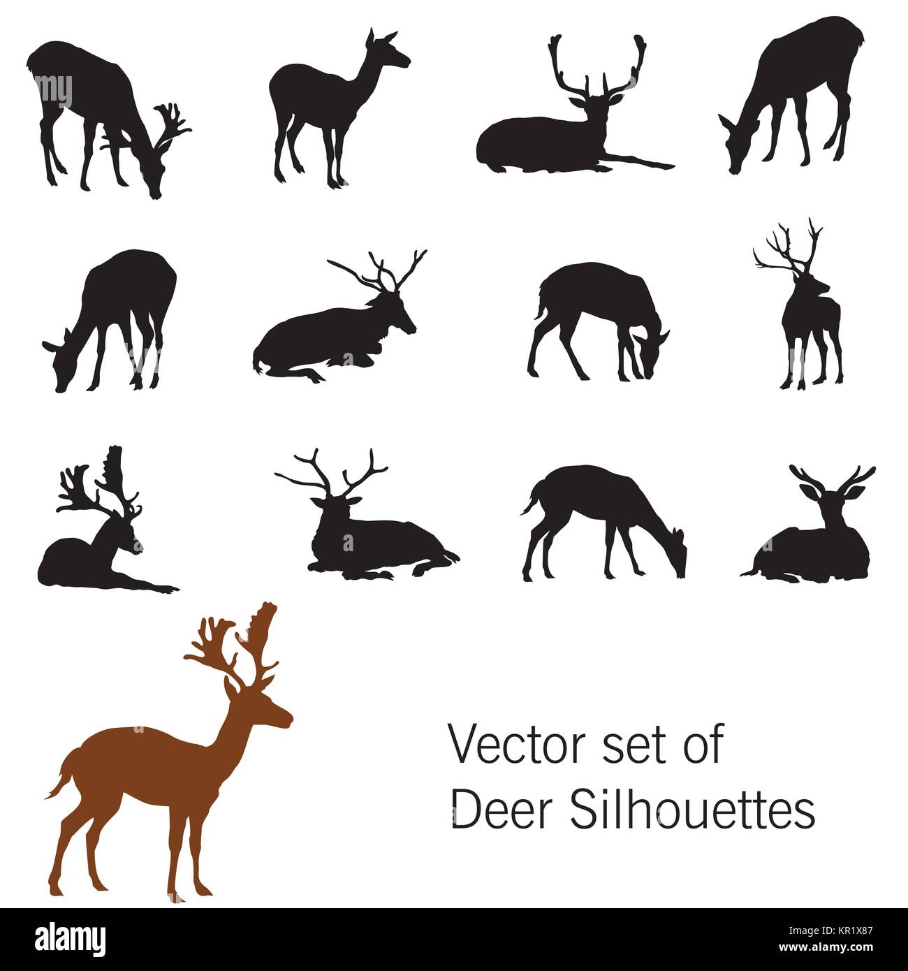 Set of vector standing and lying deer silhouettes isolated on white ...