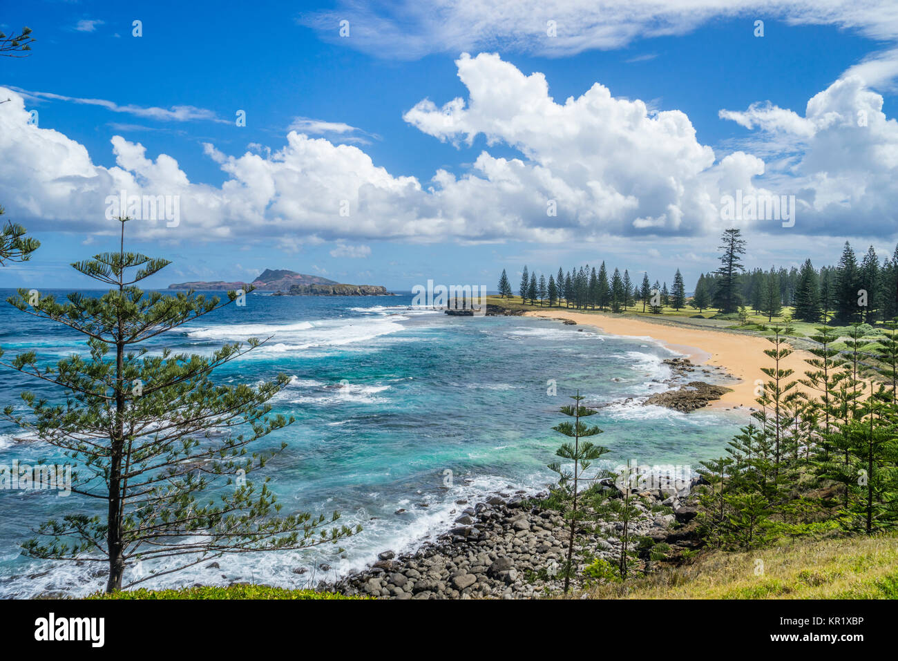 Norfolk Island, Australian external territory, Norfolk Pine studded ...