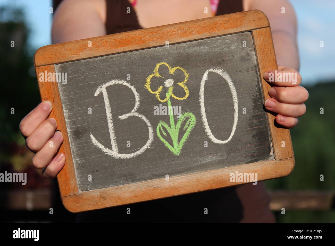 BIO written with flower with chalk on slate shown by young female Stock ...