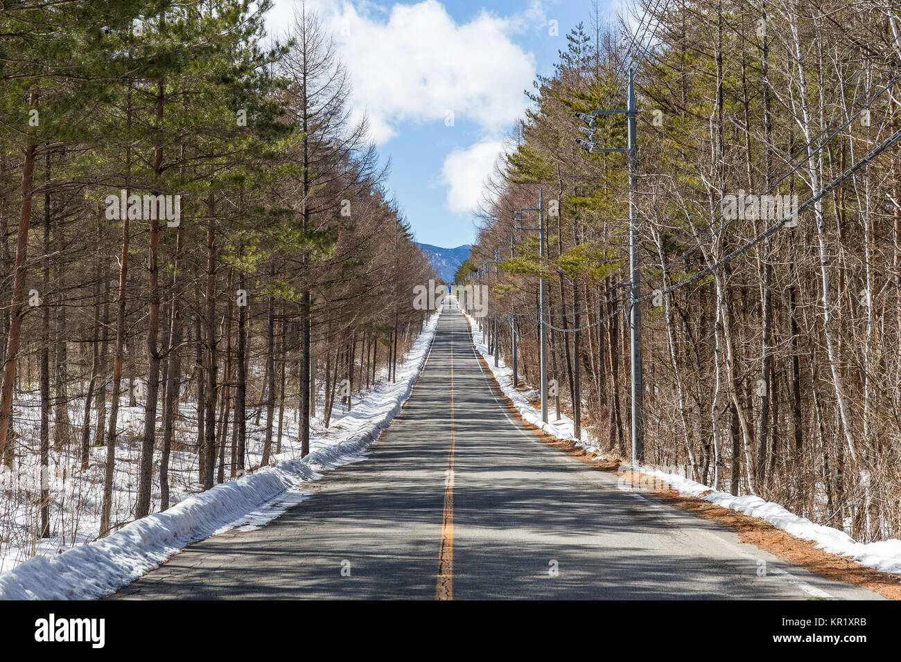 Road in winter Stock Photo - Alamy