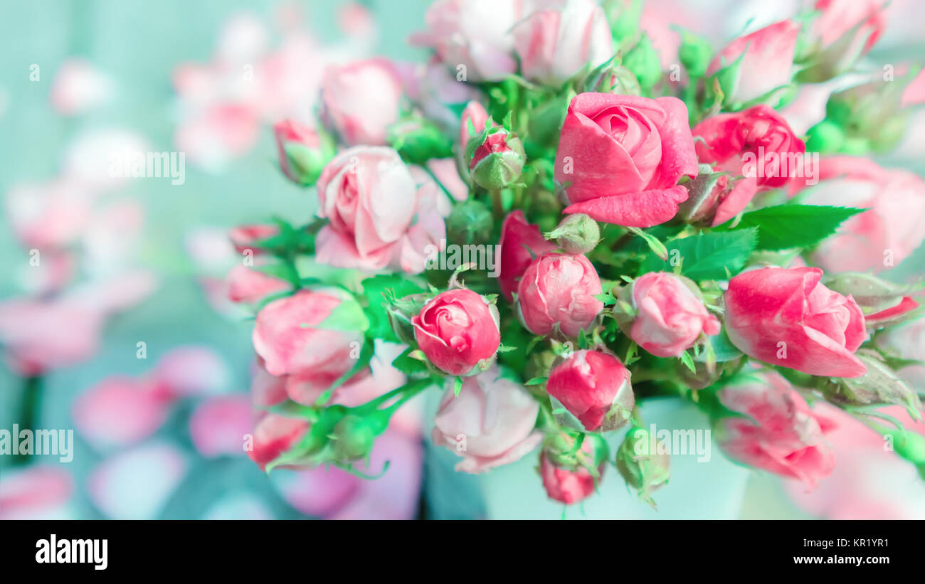 Bouquet of fresh roses in a vase Stock Photo - Alamy