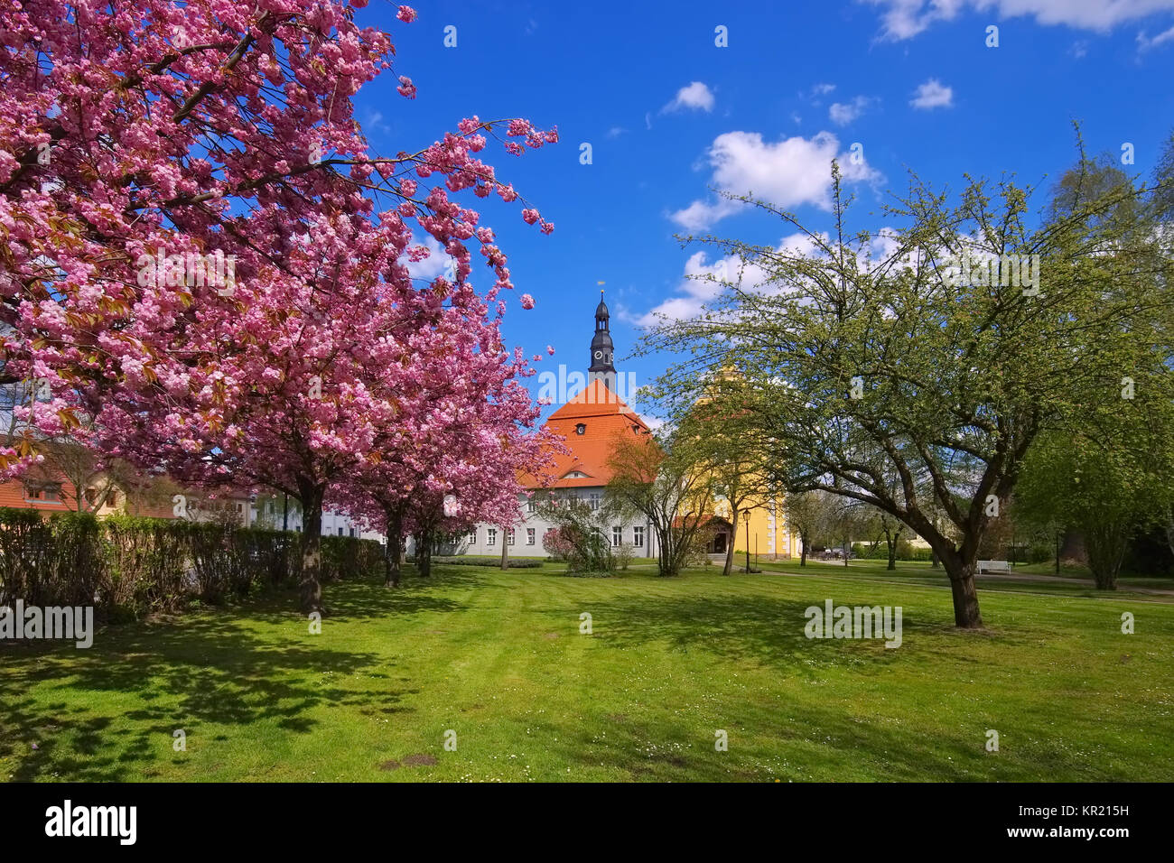 Luebben Schloss - Luebben castle in spring with blossom of cherry trees ...