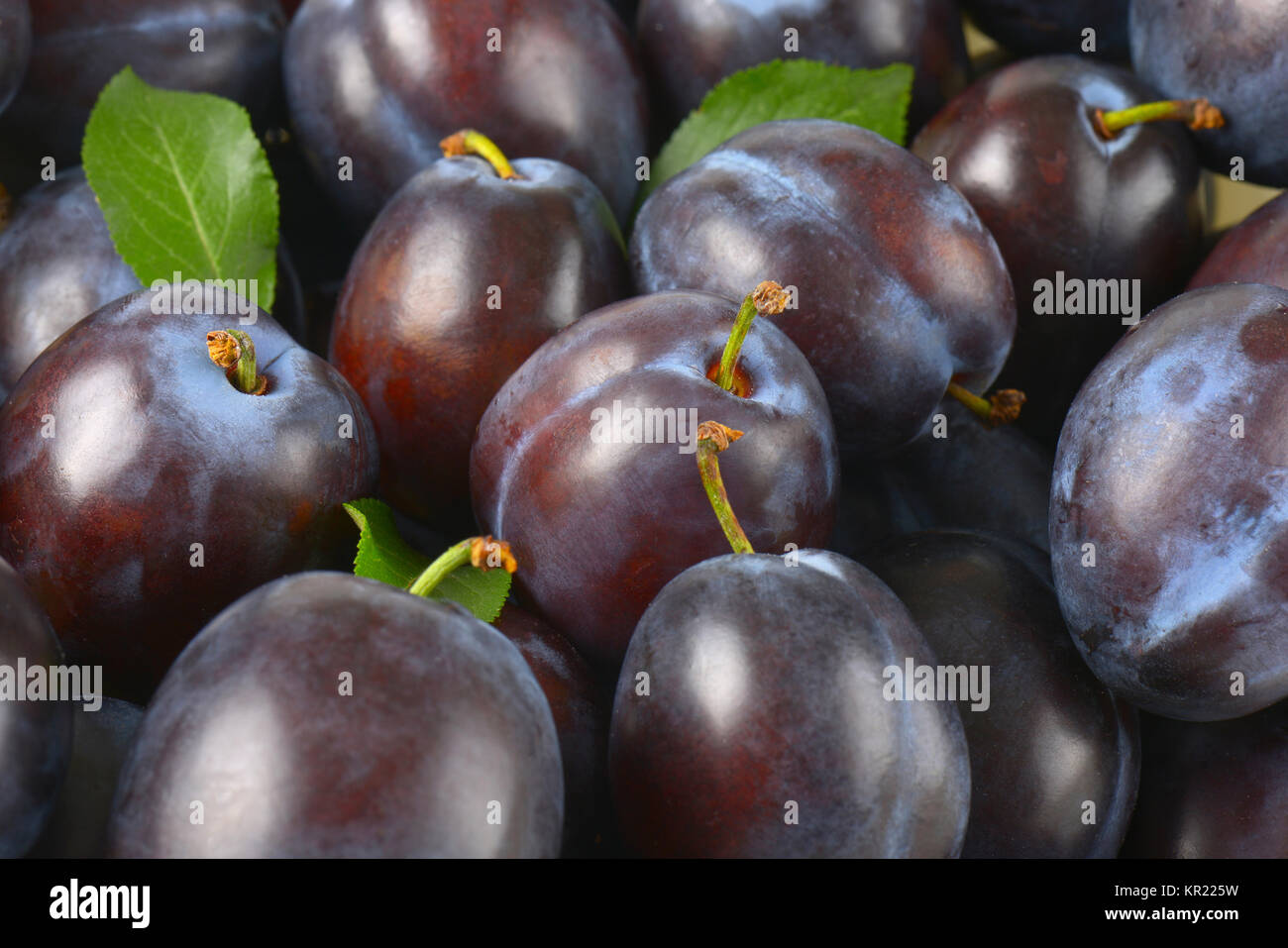 detail of ripe plums Stock Photo - Alamy