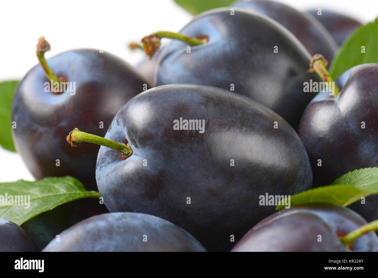 ripe damson plums Stock Photo - Alamy