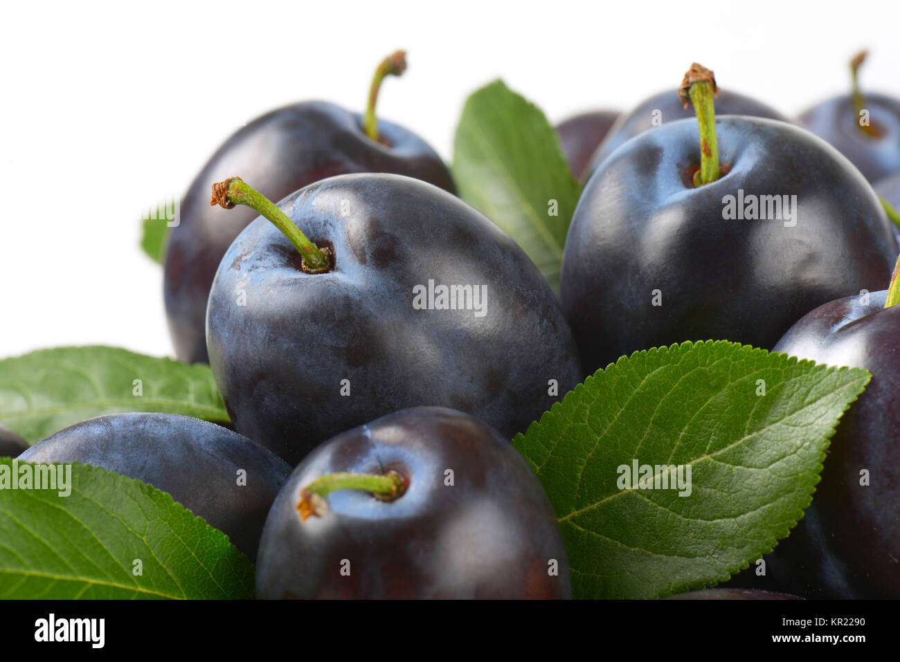 ripe damson plums Stock Photo - Alamy