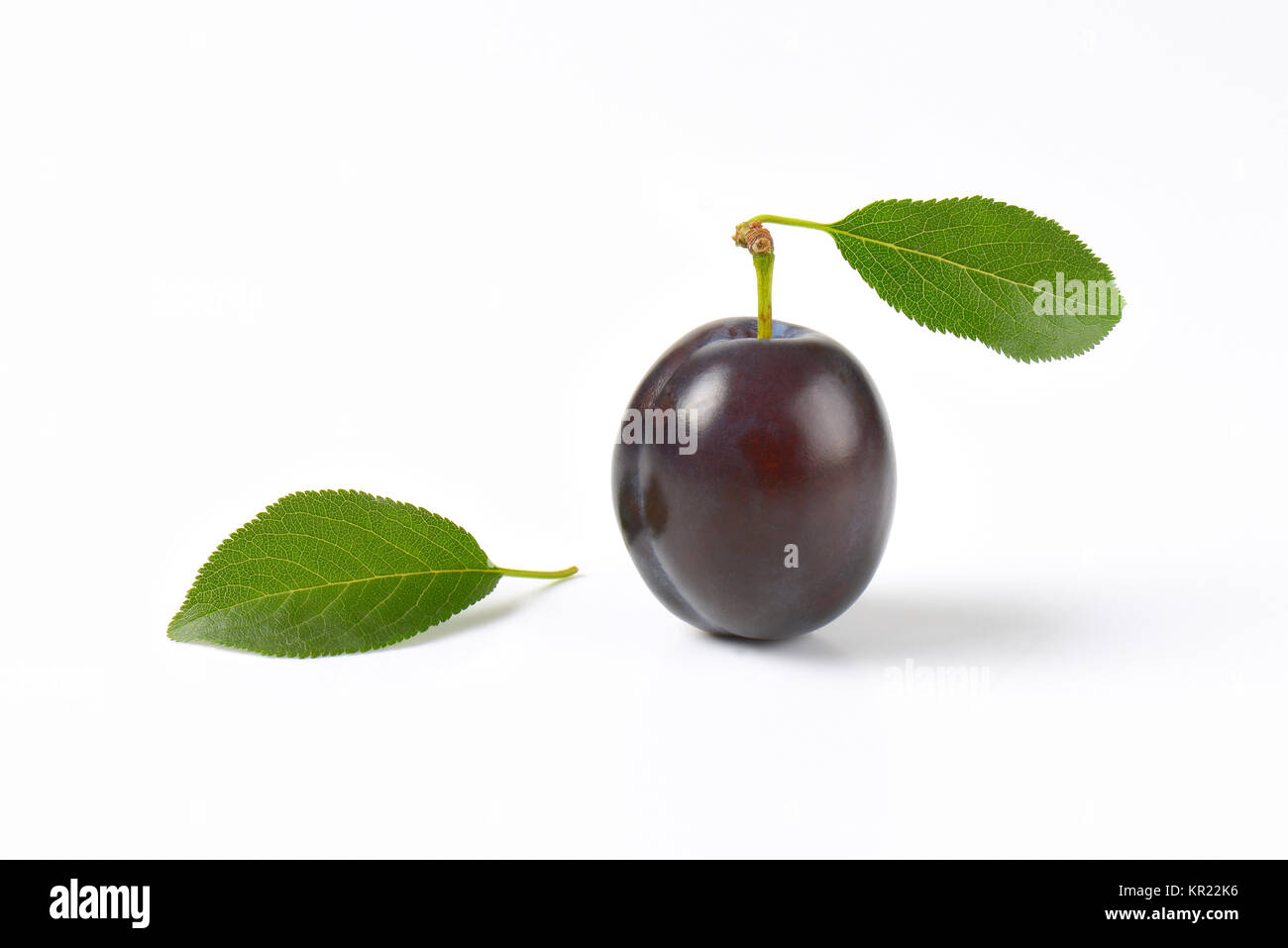 Single plum hi-res stock photography and images - Alamy