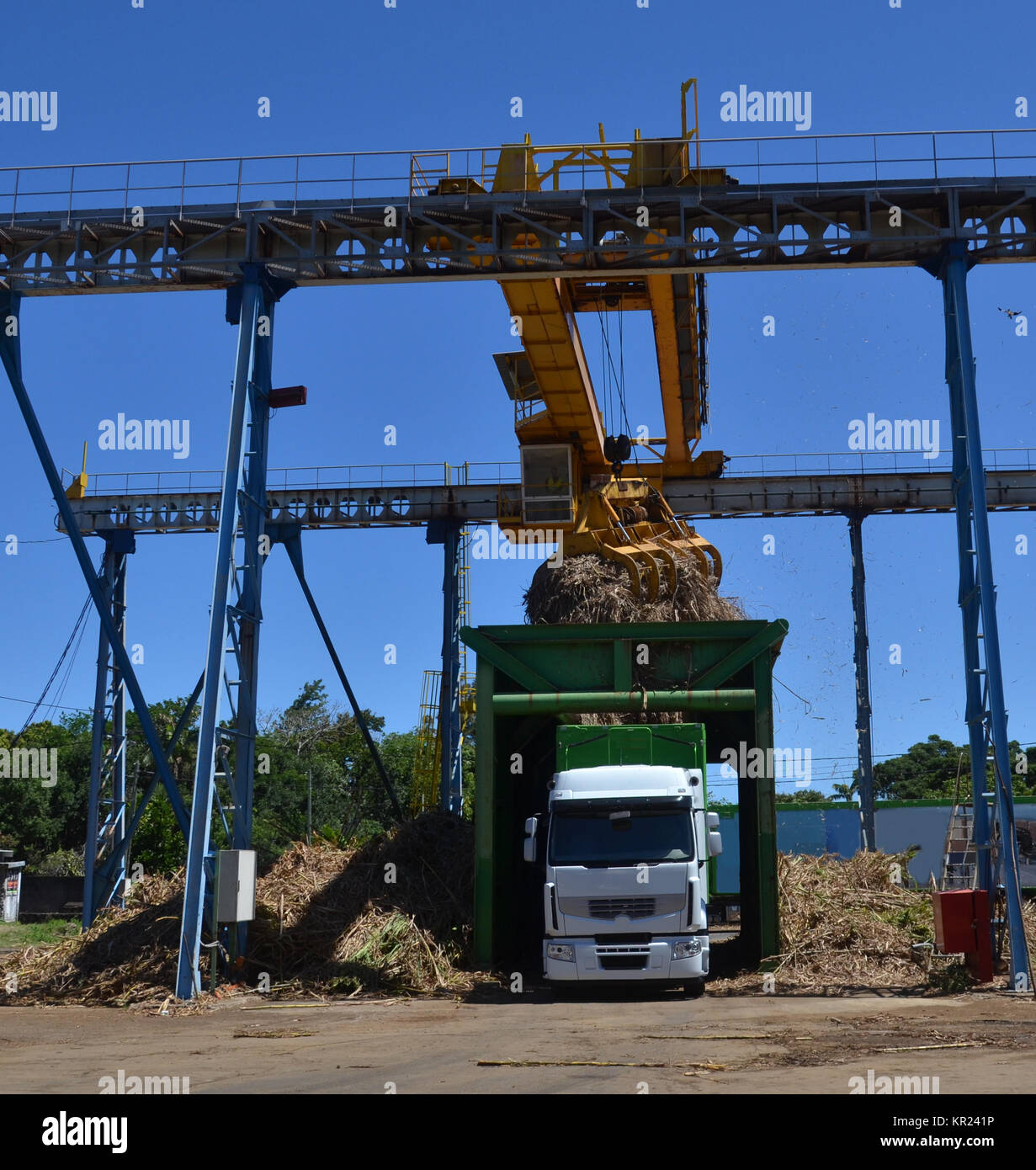 Sugar cane loading Stock Photo - Alamy