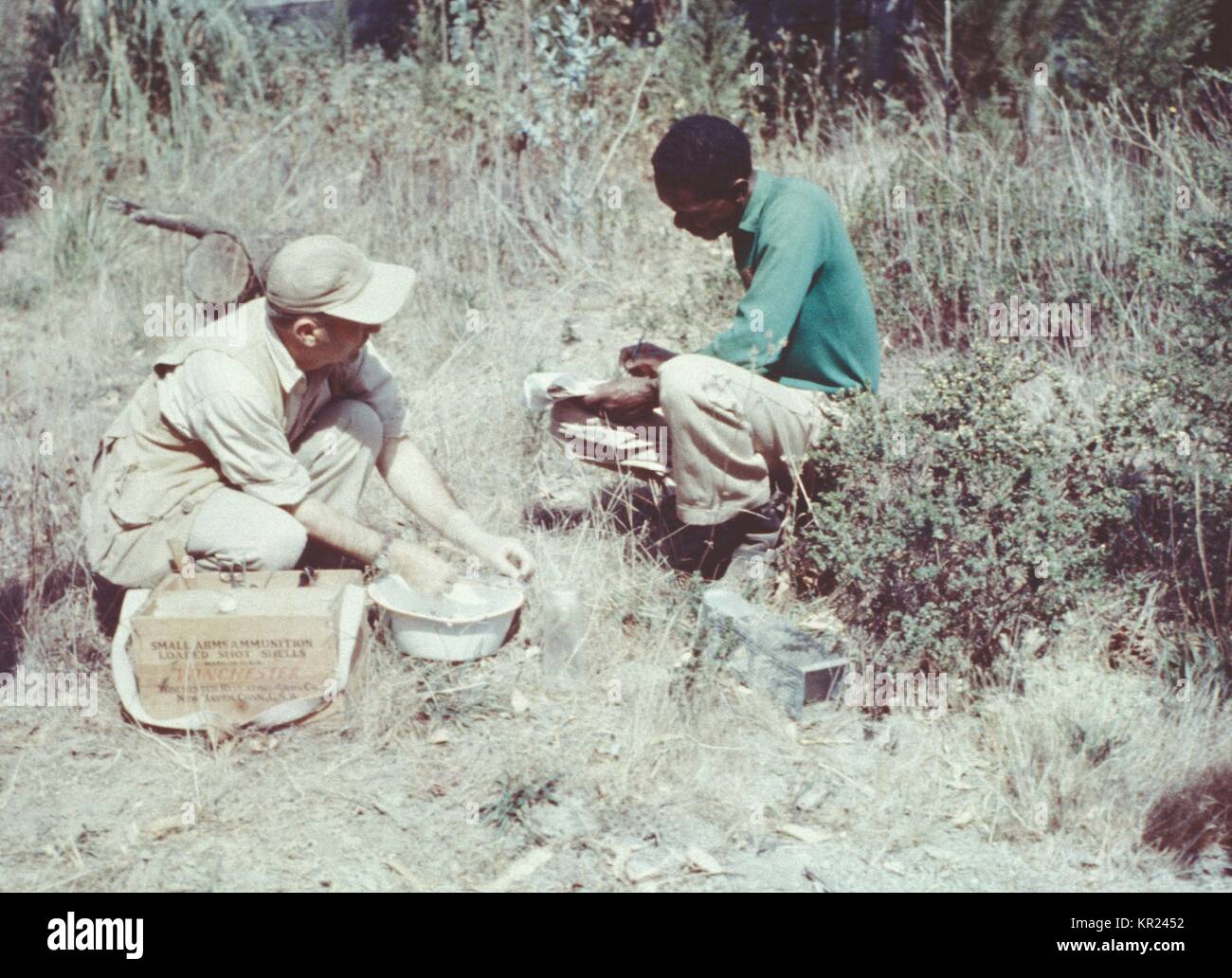 Men conducting a plague study in the San Francisco area by capturing ...