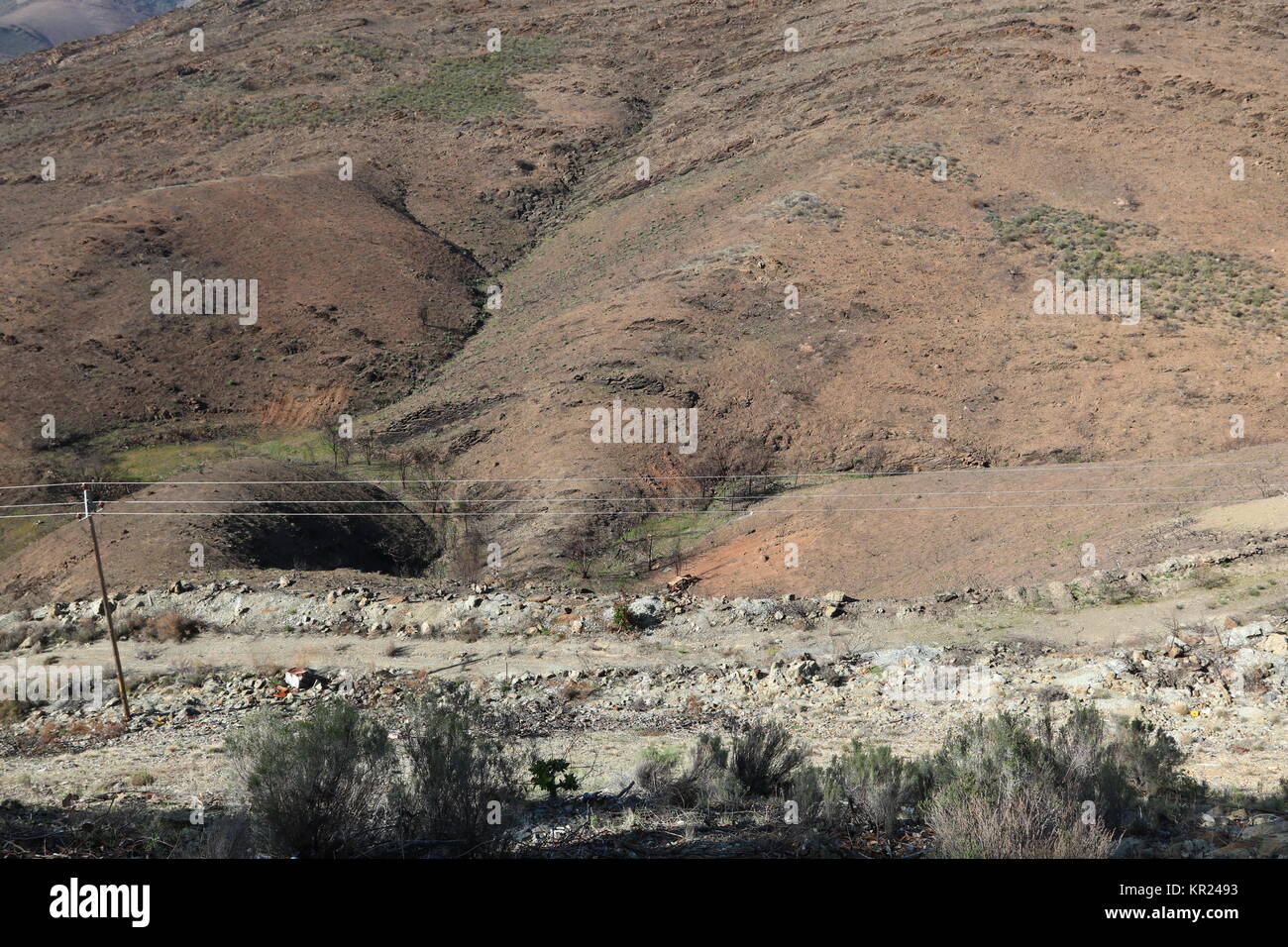 Montagu family hi-res stock photography and images - Alamy