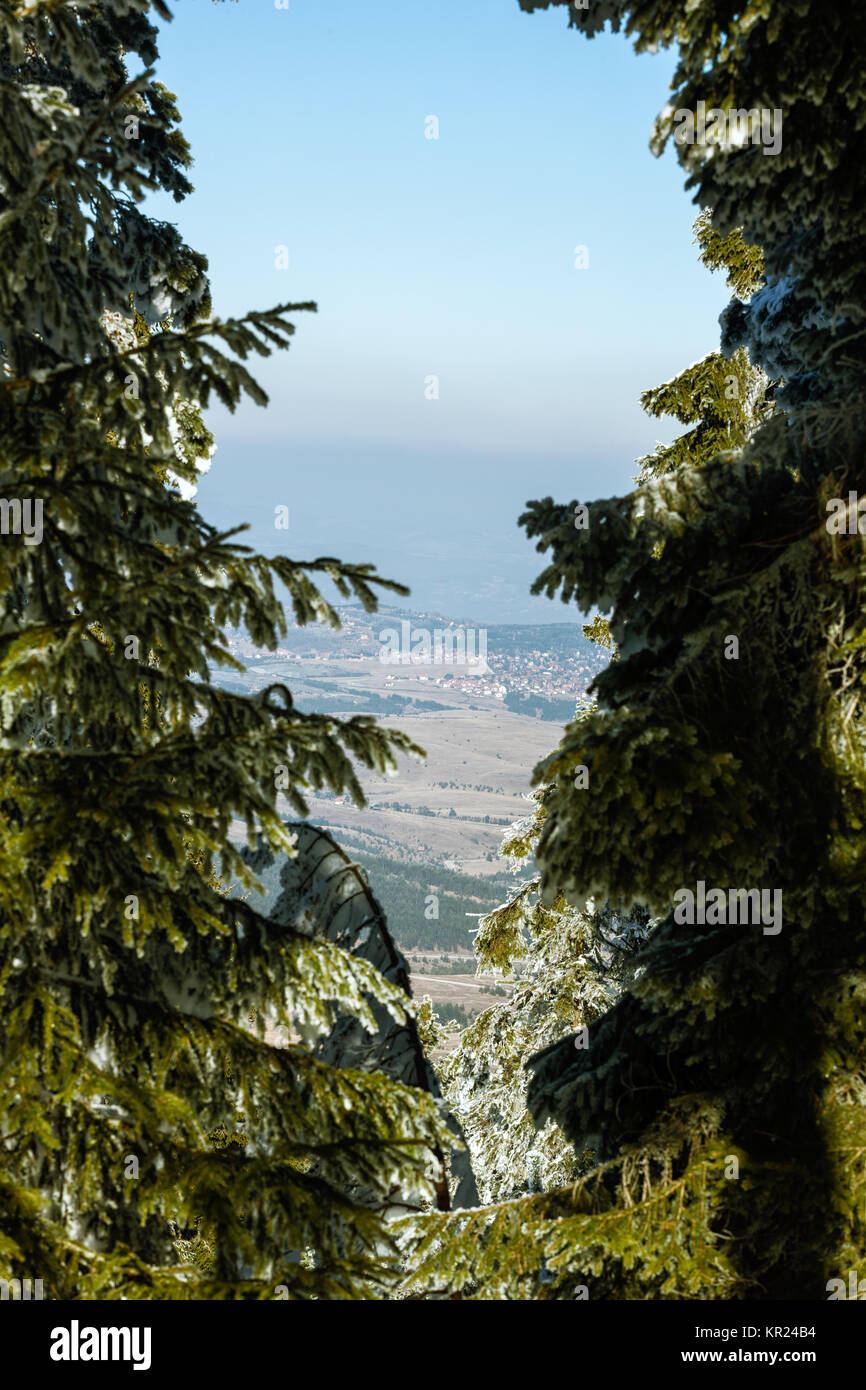 wonderful view: snow, mountains, pines and landscape nature Stock Photo ...