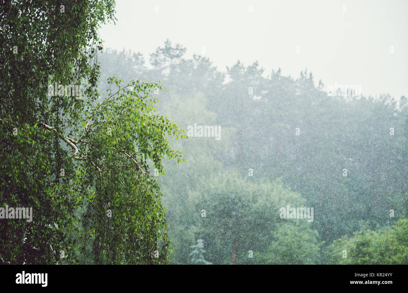 Summer rainy outside window, water drops droplets raindrops as background texture. Downpour rain ...