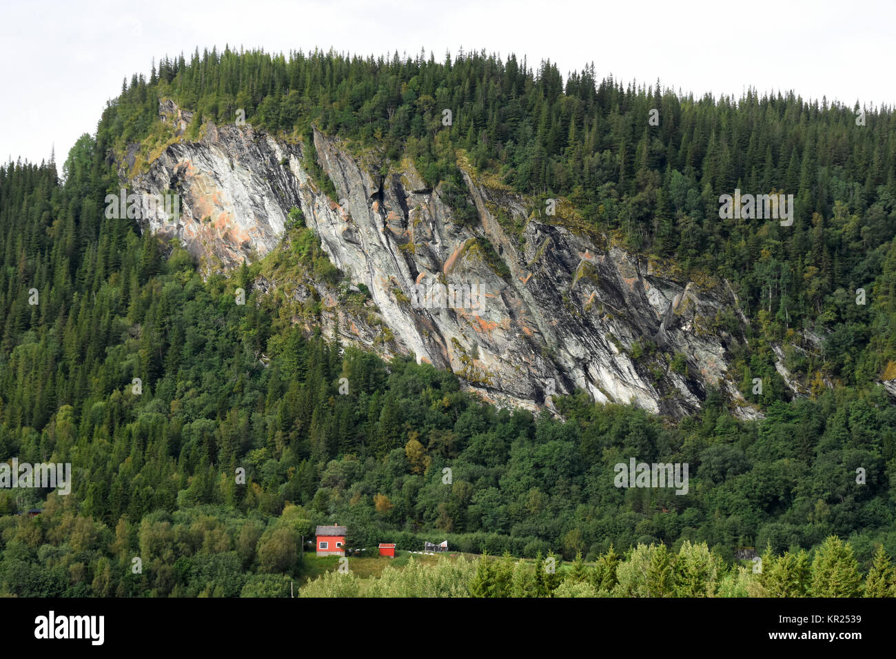 Cliff, forest and house, Norway Stock Photo - Alamy
