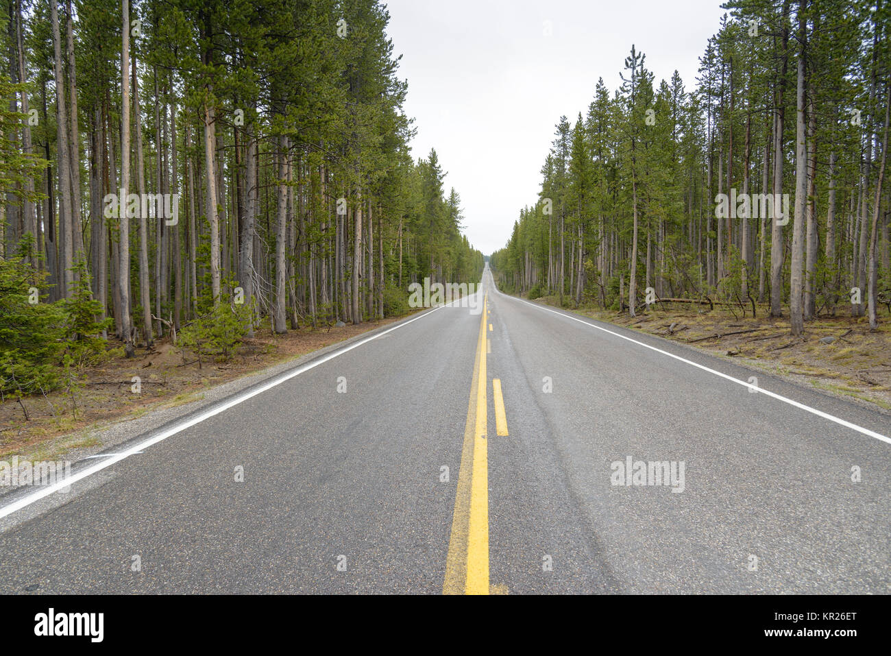 Colorful forest nature landscapes roadway hi-res stock photography and ...