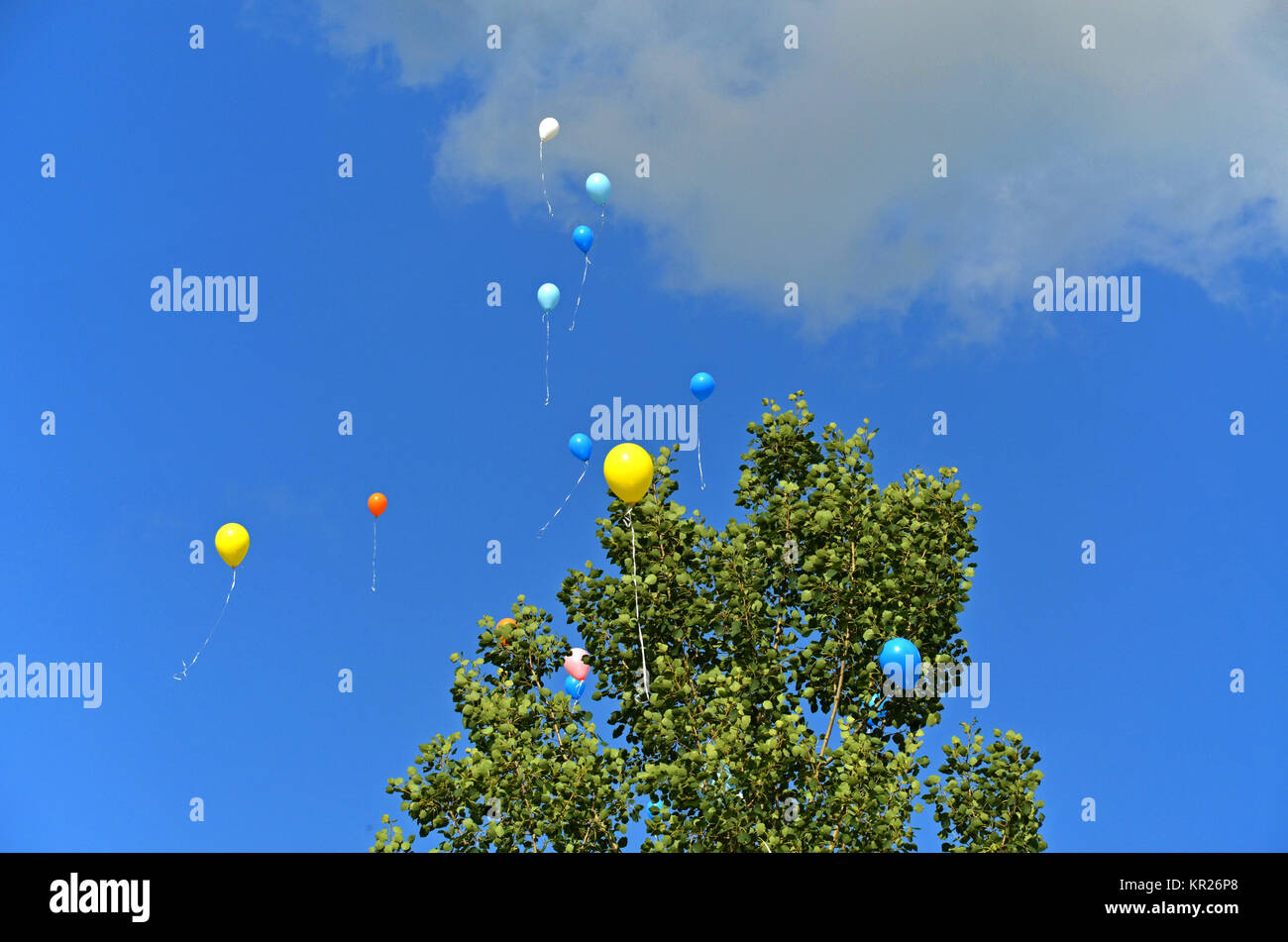 colorful balloons rise in the sky Stock Photo - Alamy