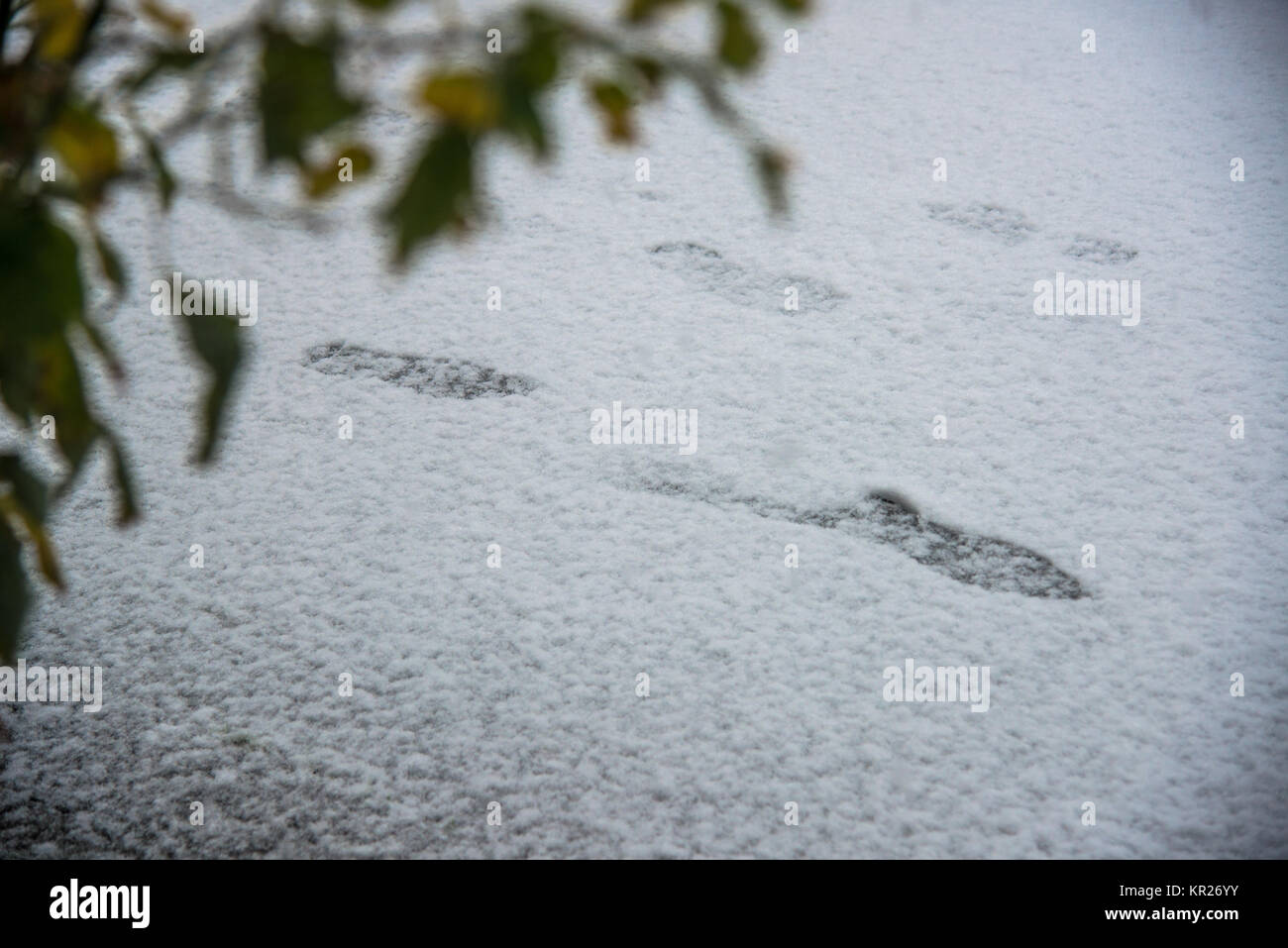 steps in snow at sidewalk Stock Photo - Alamy