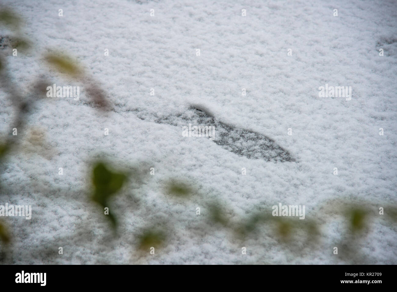 steps in snow at sidewalk Stock Photo - Alamy