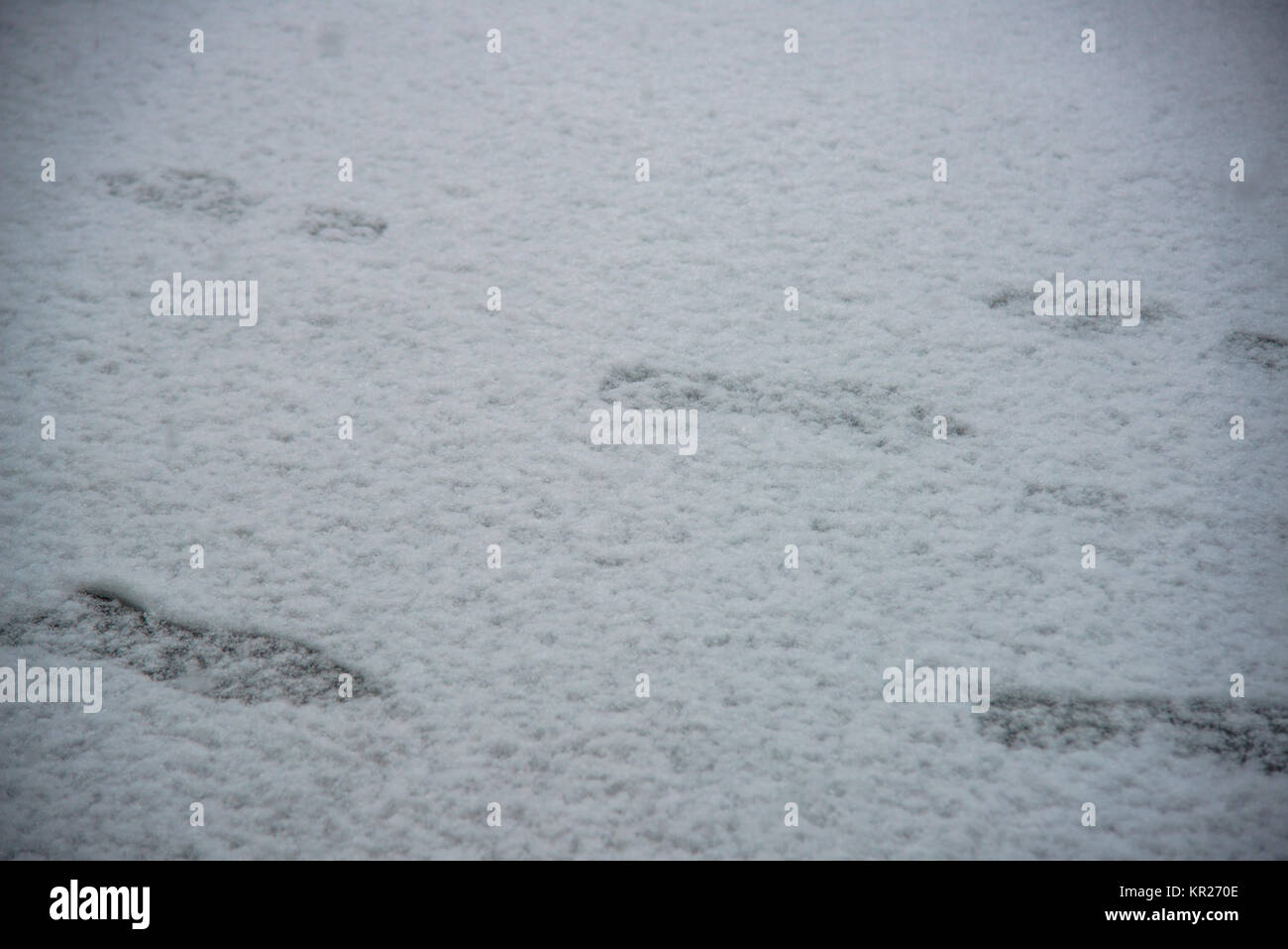steps in snow at sidewalk Stock Photo - Alamy