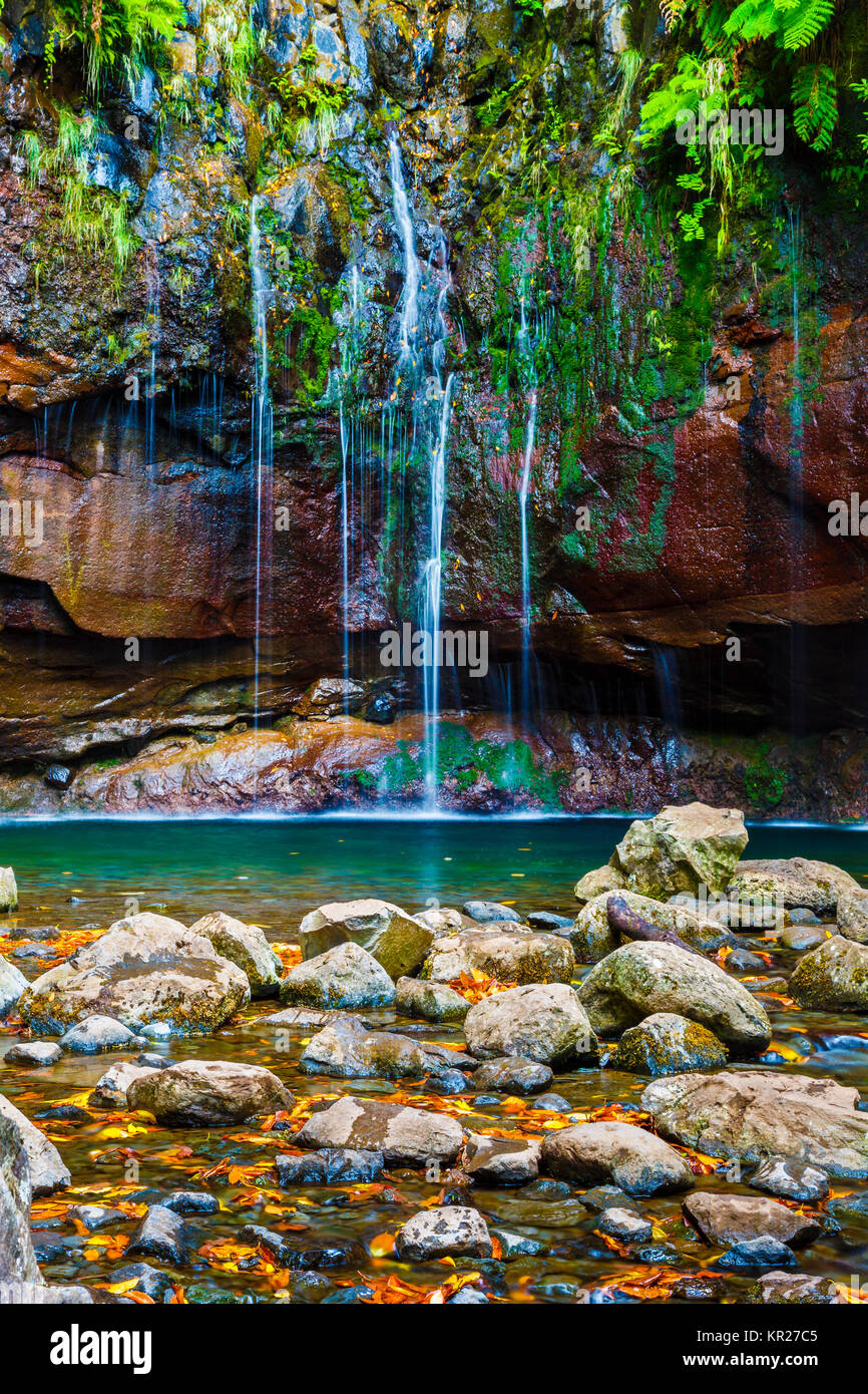 Waterfall in a canyon. Levada das 25 Fontes route. Madeira, Portugal ...