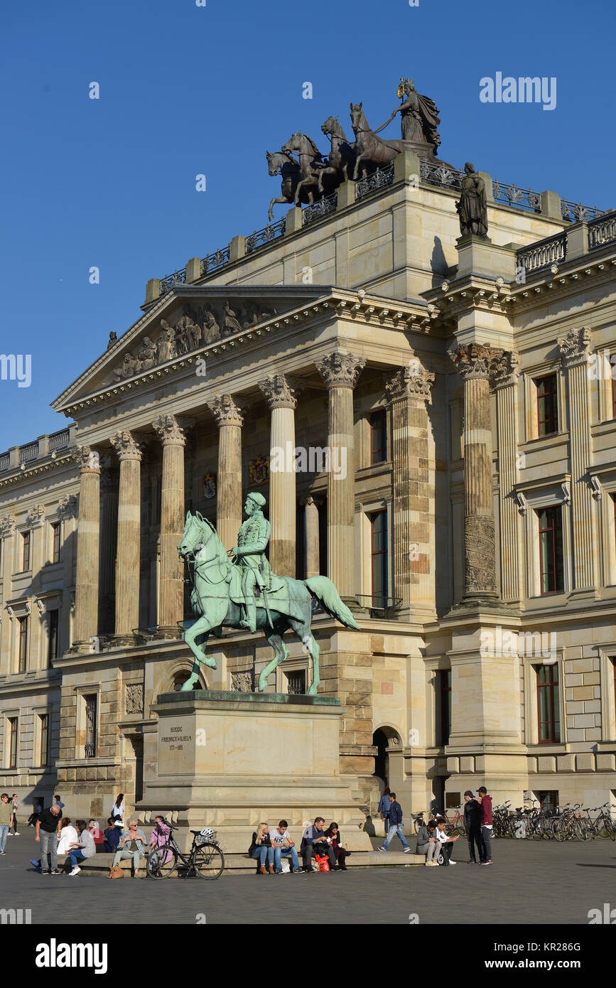 Equestrian statue Herzog Friedrich Wilhelm, residence castle, castle ...