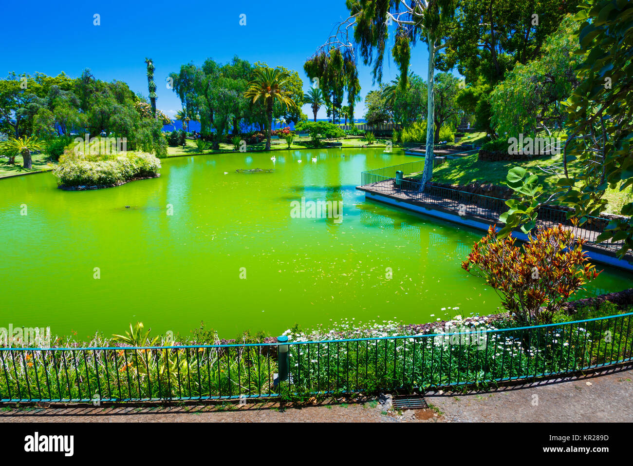 Pond in a public park Stock Photo - Alamy