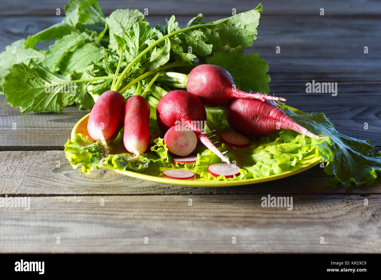 Still-life with radish and salad close-up. Clean radishes prepared for ...
