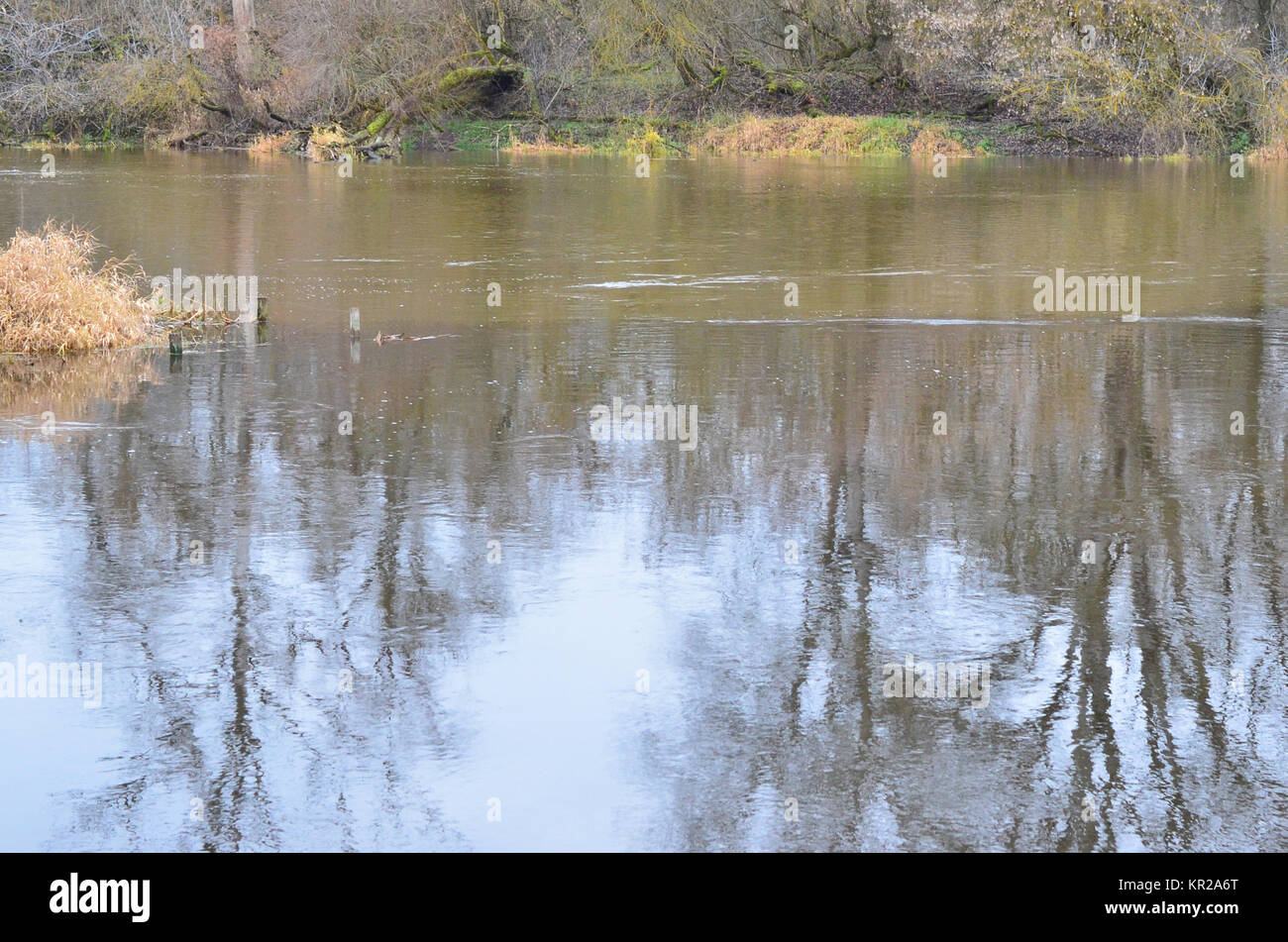 Merging of two rivers with different color of waters Stock Photo - Alamy
