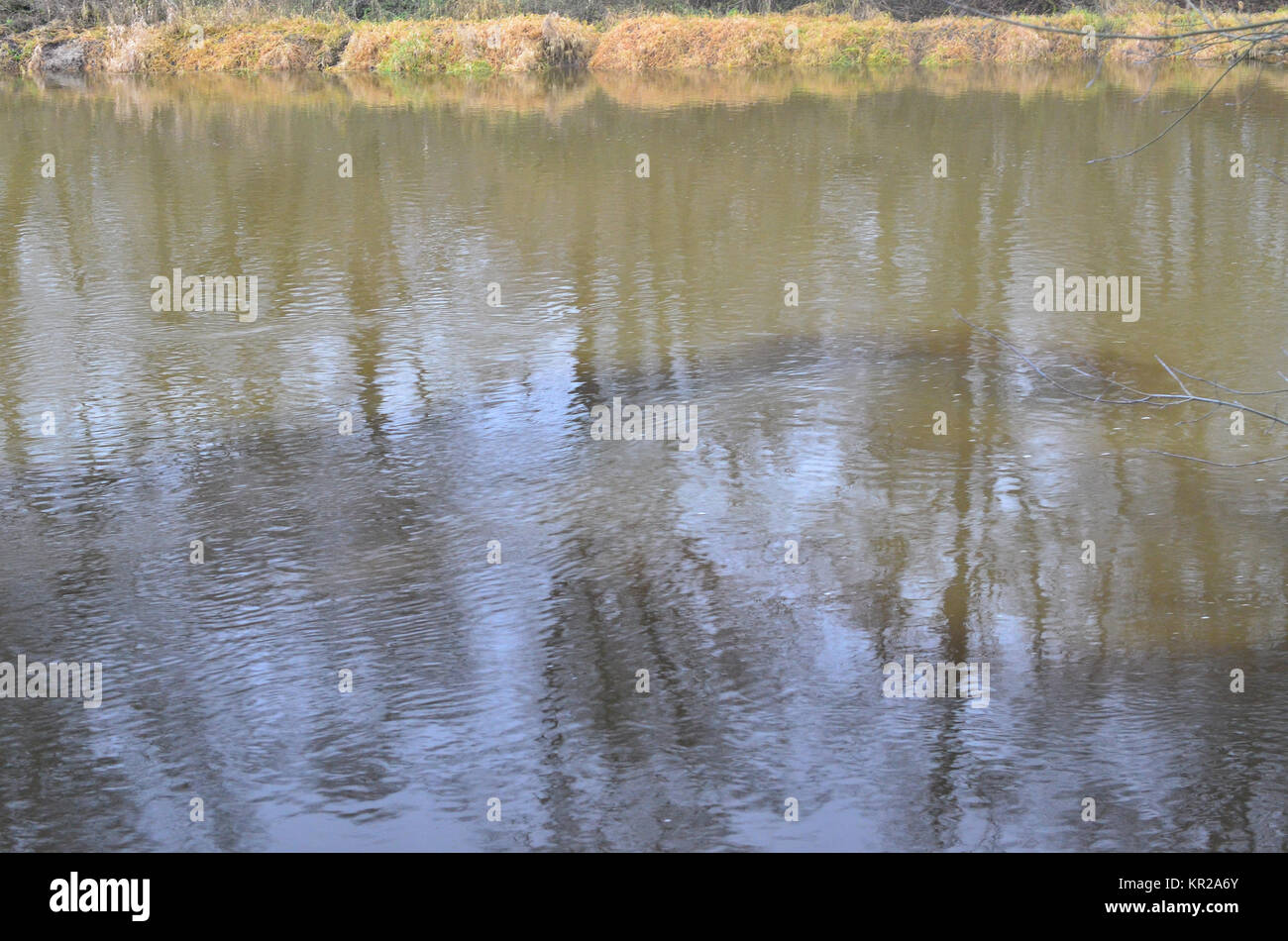 Merging of two rivers with different color of waters Stock Photo - Alamy
