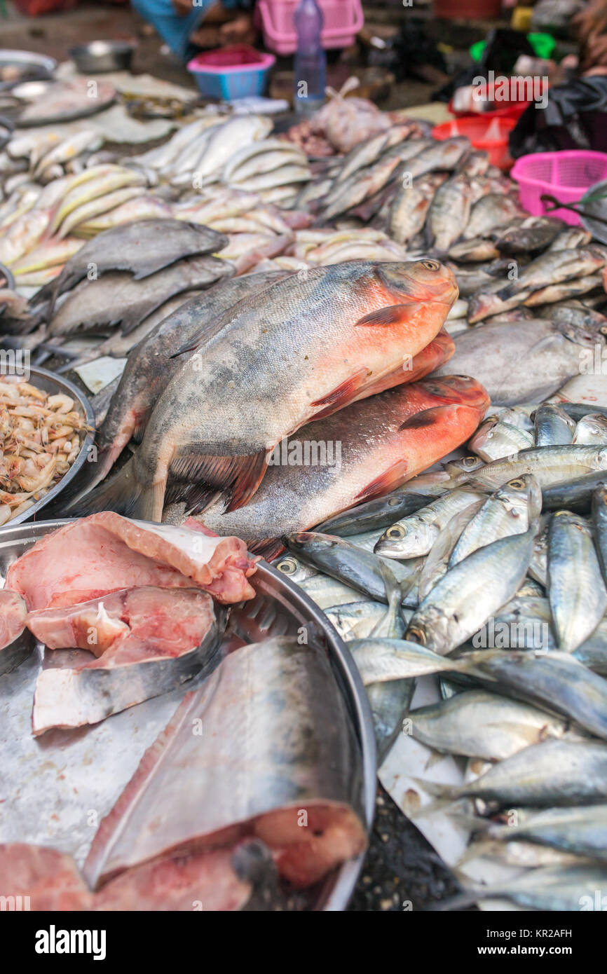 Fresh fishes on the market in Yangon, Myanmar Stock Photo - Alamy