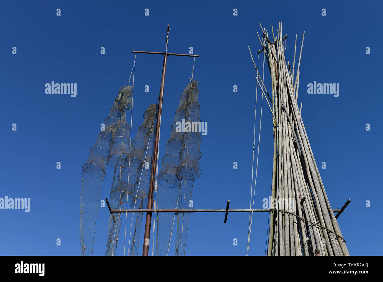 Fish fykes, Werder / Havel, Brandenburg, Germany, Fischreusen ...