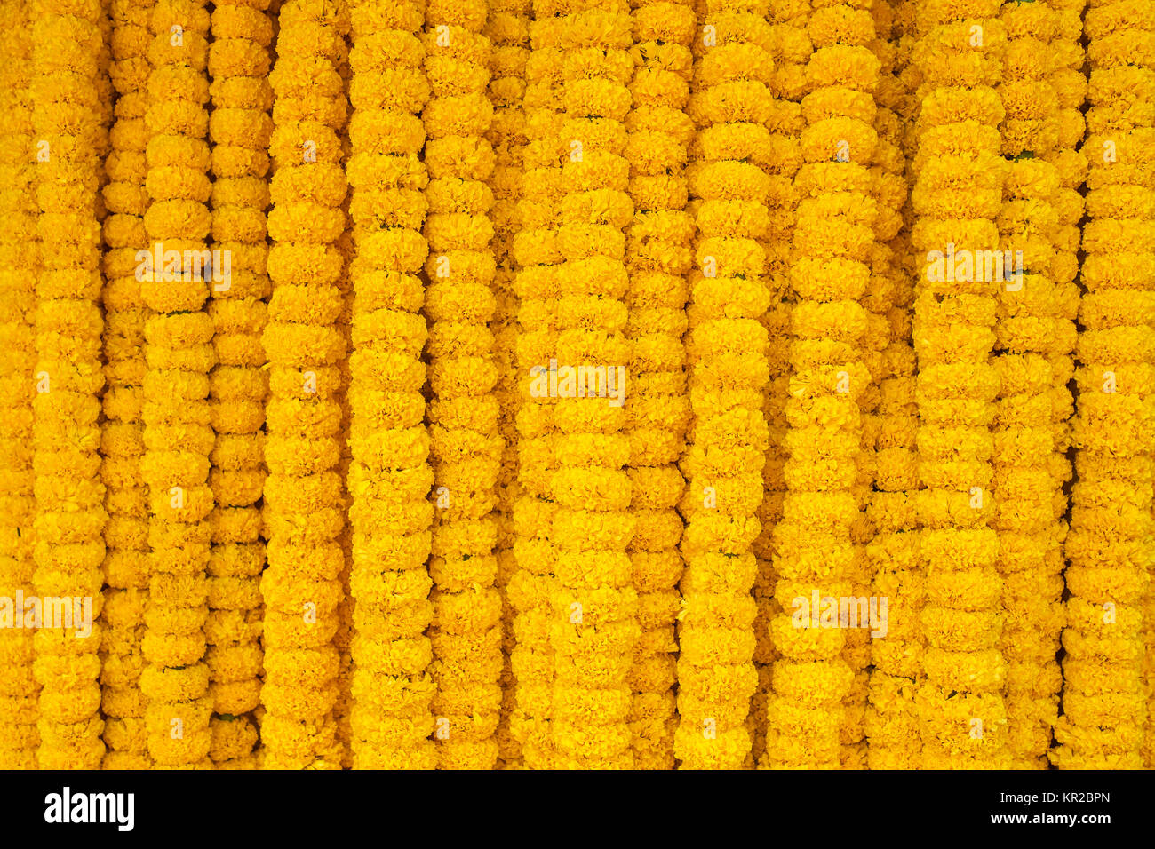 Marigold garland hi-res stock photography and images - Alamy