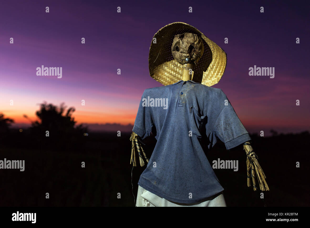 Old scarecrow hi-res stock photography and images - Alamy