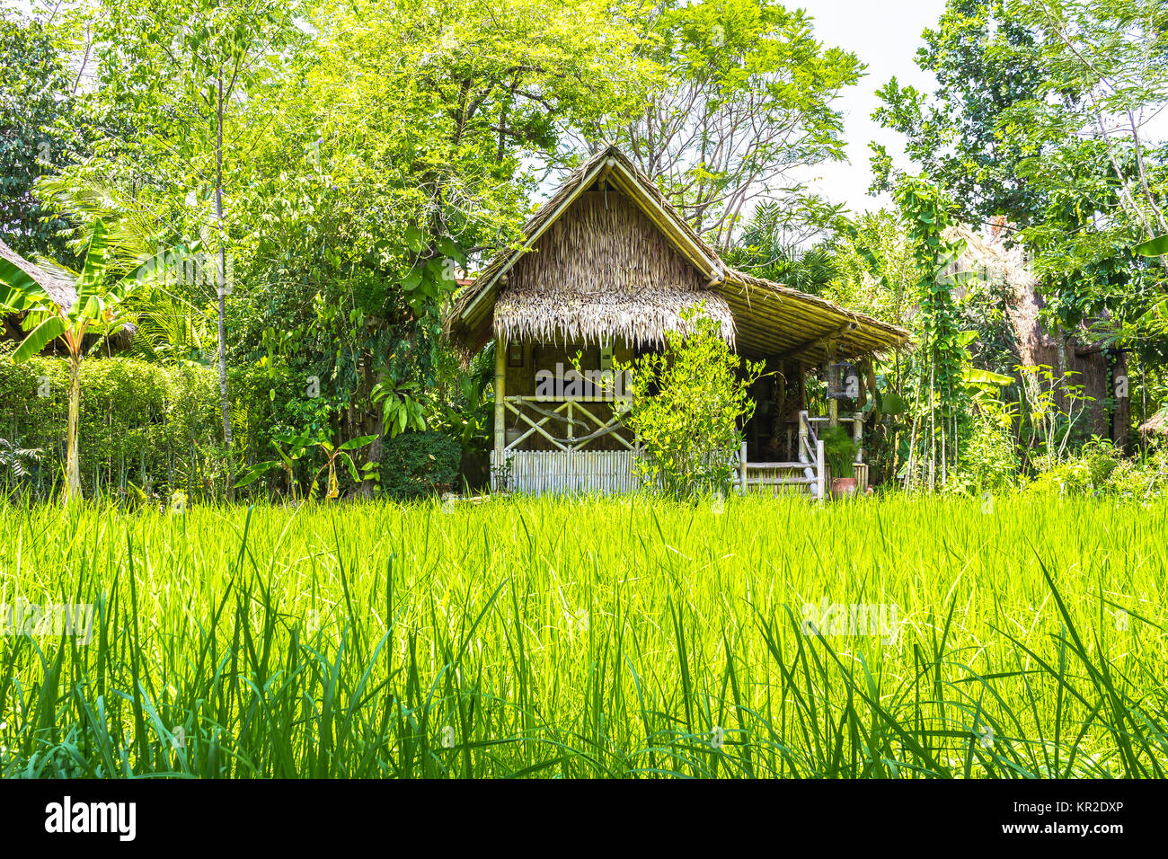 Thailand thai house farm building hi-res stock photography and images ...