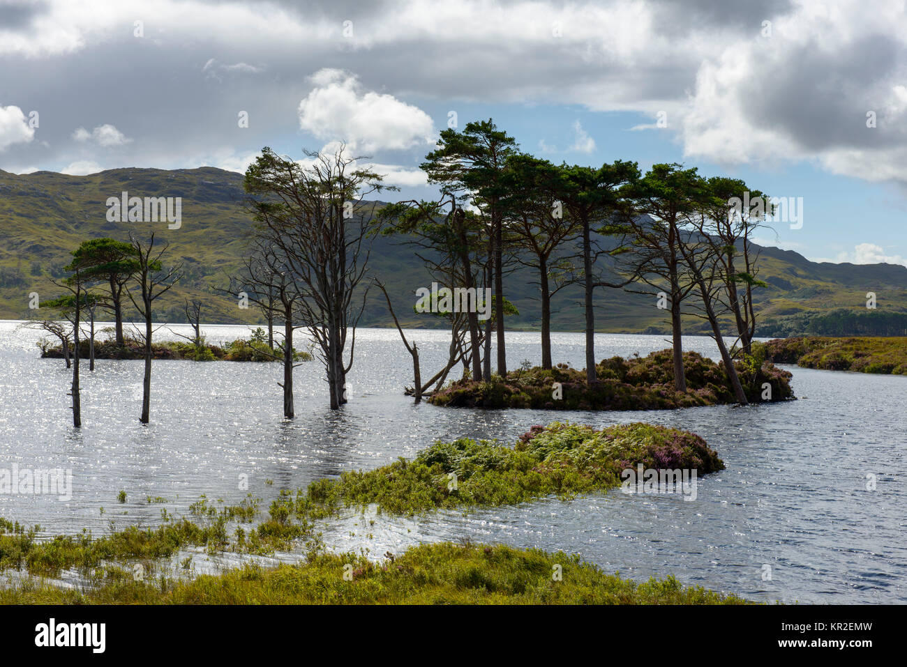 Highlands loch trees hi-res stock photography and images - Alamy