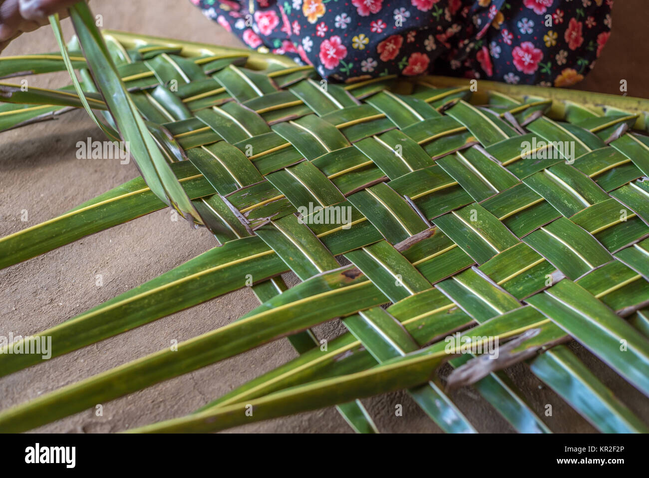 Woman hands braiding green coconut leaves Stock Photo - Alamy