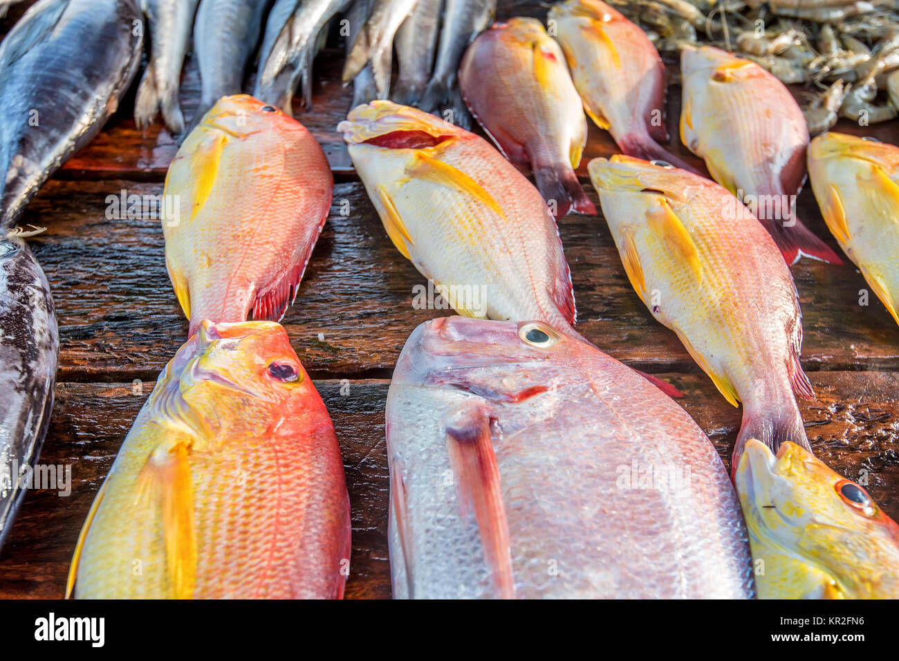 Fresh raw fish at market Stock Photo - Alamy