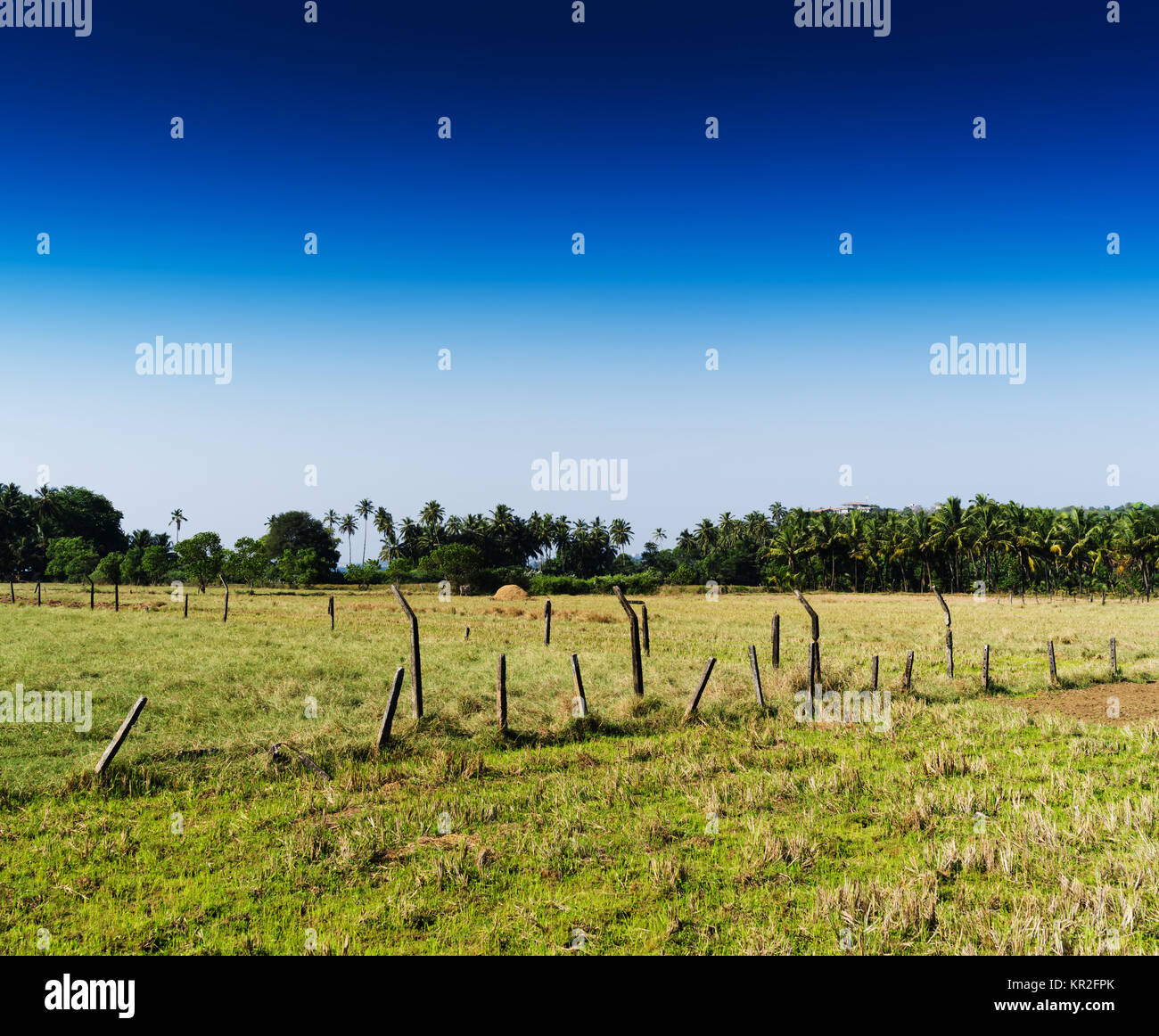 Horizontal vivid indian pole background backdrop Stock Photo - Alamy