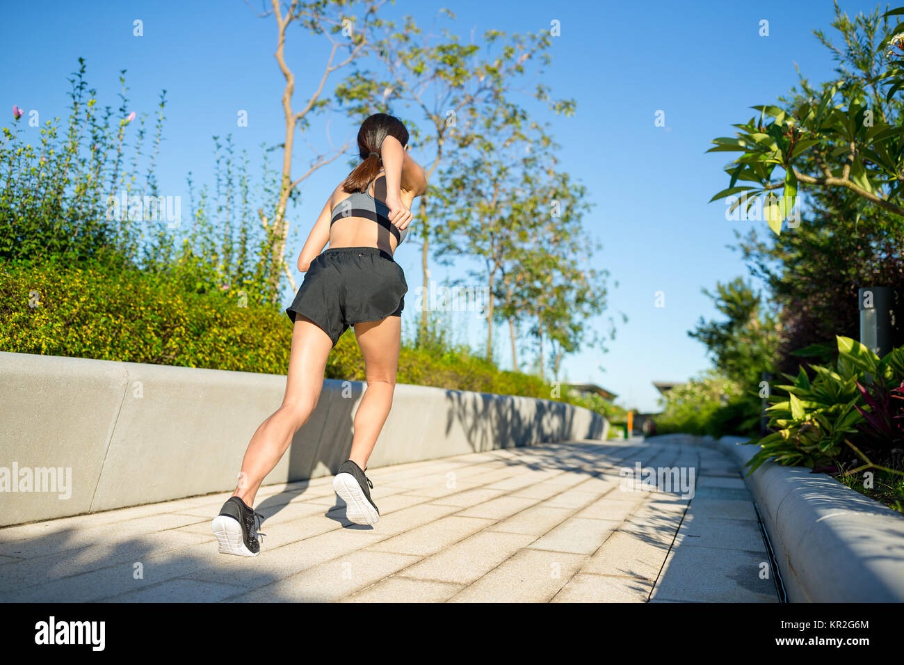 Woman running at park Stock Photo - Alamy