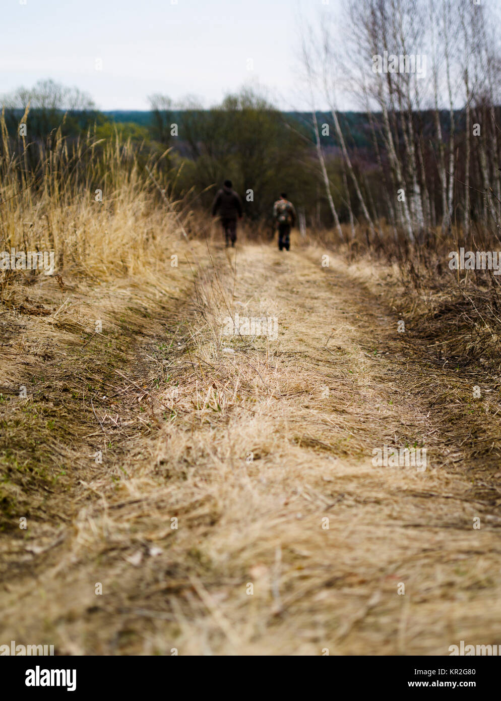 Vertical autumn russian road with two man background backdrop Stock ...