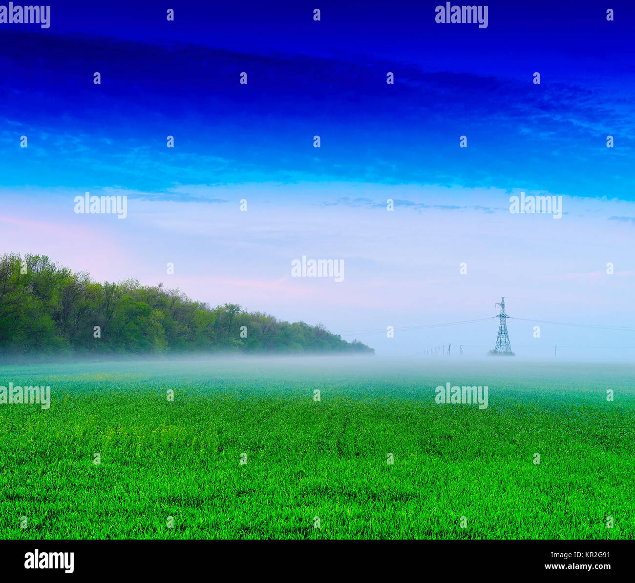 Horizontal vivid green power line source background backdrop Stock ...