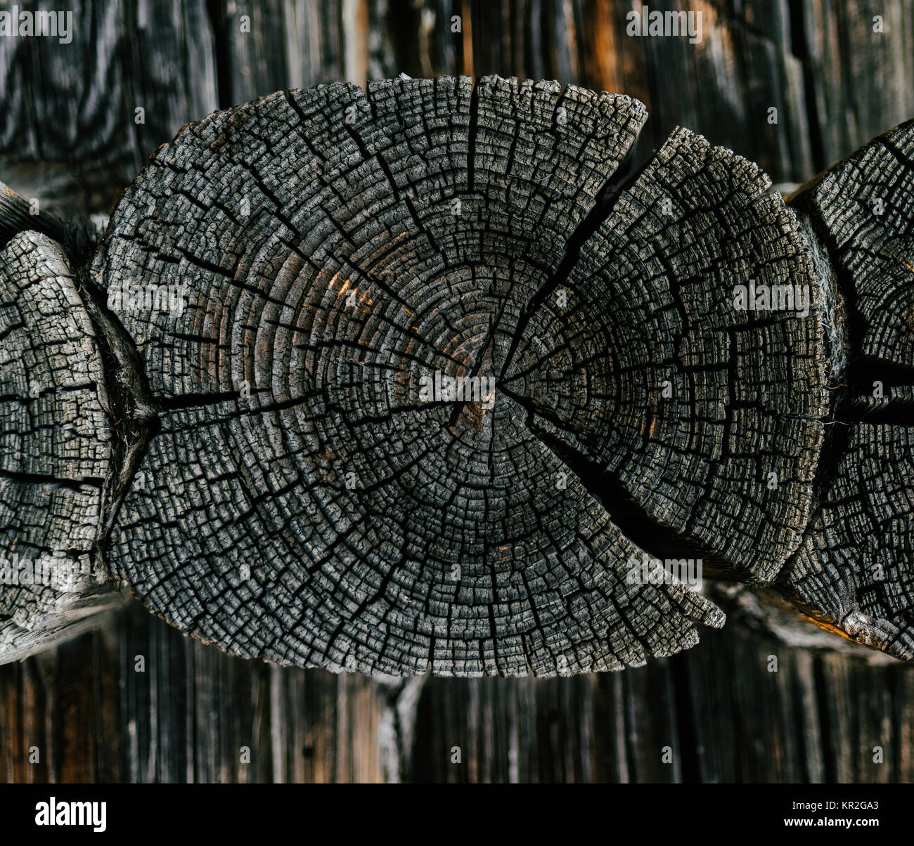 Tree felling plan hi-res stock photography and images - Alamy