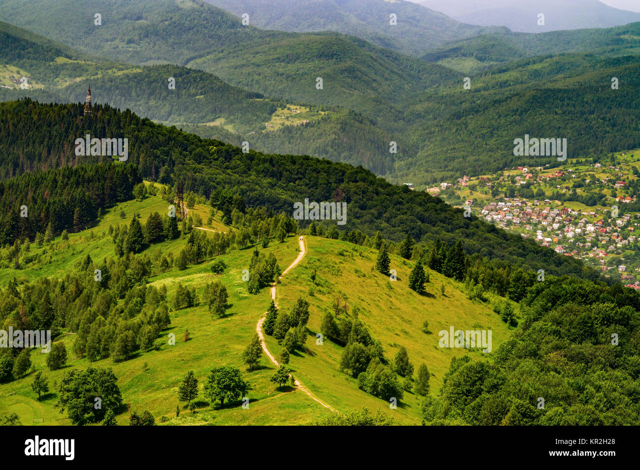 mountains in the Carpathians Stock Photo - Alamy